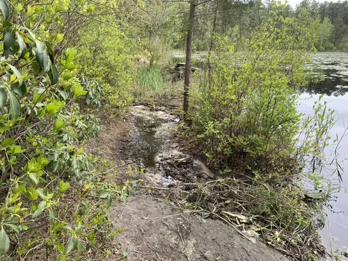 Best River Trails in Atco | AllTrails