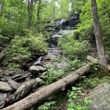 Hidden Falls Trail, South Carolina - 721 Reviews, Map | AllTrails
