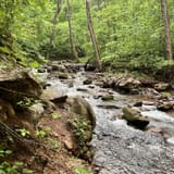 Roaring Run Trail, Virginia - 809 Reviews, Map | AllTrails