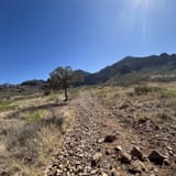 Soledad Canyon Loop, New Mexico - 1,322 Reviews, Map | AllTrails