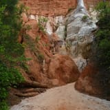Canyon Loop Trail, Georgia - 2,318 Reviews, Map | AllTrails