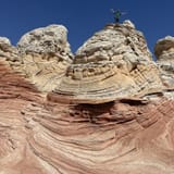 White Pocket Trail, Arizona - 883 Reviews, Map | AllTrails