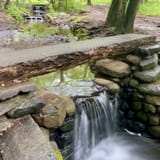 Glover-Archbold Trail, District of Columbia - 488 Reviews, Map | AllTrails