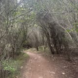 Grasslands Loop Trail, California - 1,717 Reviews, Map | AllTrails