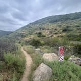 Grasslands Loop Trail, California - 1,717 Reviews, Map | AllTrails