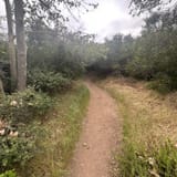 Grasslands Loop Trail, California - 1,717 Reviews, Map | AllTrails