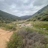 Grasslands Loop Trail, California - 1,717 Reviews, Map | AllTrails