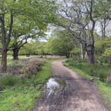 Epping Forest Main Path and Green Ride Circular, Essex, England - 1,242 ...