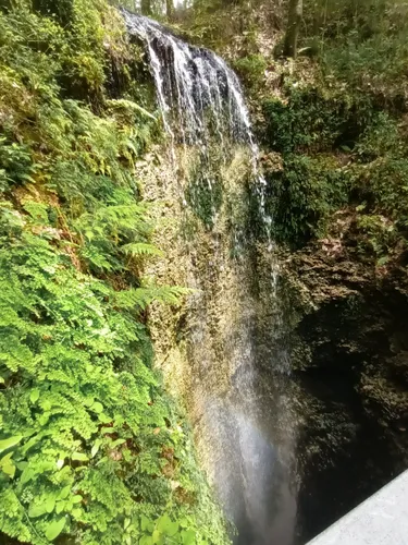 Best Waterfall Trails in Chipley | AllTrails