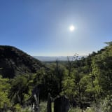Barnhardt Trail Waterfall, Arizona - 929 Reviews, Map | AllTrails