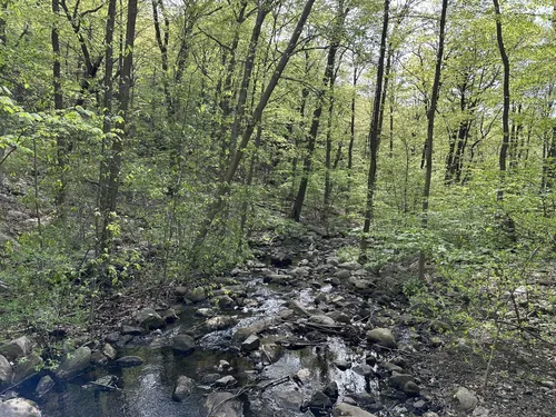 Best Easy Trails in Mahwah | AllTrails