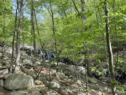 Best Easy Trails in Mahwah | AllTrails