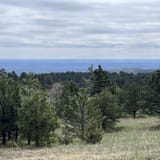 Colorow Mountain Forest and Meadow Loop Trail, Colorado - 595 Reviews ...