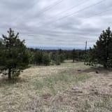 Colorow Mountain Forest and Meadow Loop Trail, Colorado - 595 Reviews ...