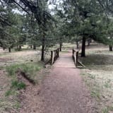 Colorow Mountain Forest and Meadow Loop Trail, Colorado - 595 Reviews ...
