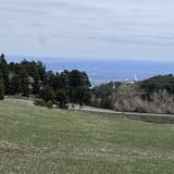 Colorow Mountain Forest and Meadow Loop Trail, Colorado - 595 Reviews ...