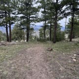 Colorow Mountain Forest and Meadow Loop Trail, Colorado - 595 Reviews ...