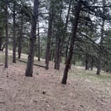 Colorow Mountain Forest and Meadow Loop Trail, Colorado - 595 Reviews ...