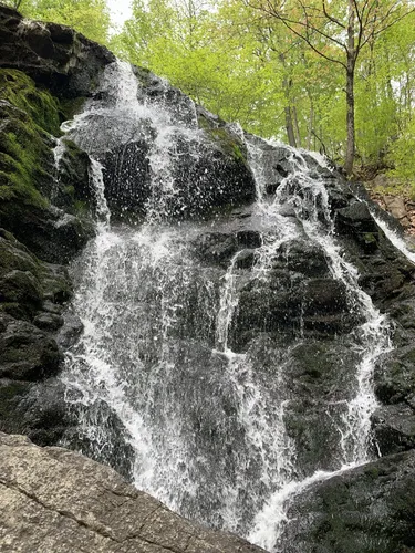 Best Easy Trails in Mahwah | AllTrails