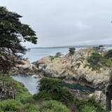 Point Lobos Loop, California - 7,588 Reviews, Map | AllTrails