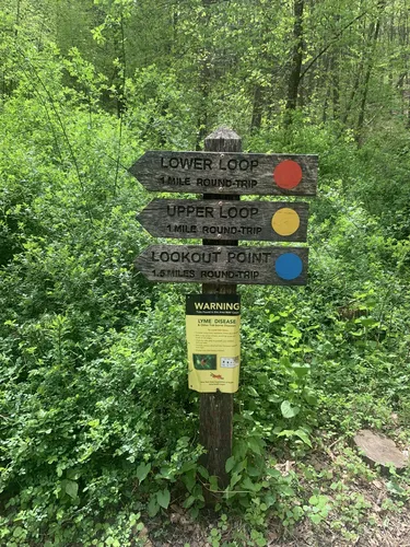 Best Forest Trails in Dover Plains | AllTrails