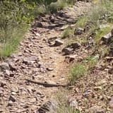 Barnhardt Trail Waterfall, Arizona - 929 Reviews, Map | AllTrails