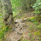 Prettyboy Reservoir Dam, Maryland - 742 Reviews, Map | AllTrails