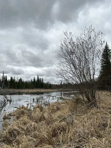 Best Views Trails in Pinawa's Trans Canada Trails | AllTrails