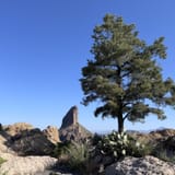 Lone Tree via Peralta Canyon Trail, Arizona - 1,944 Reviews, Map ...