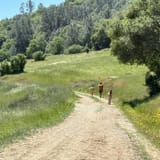 East Ridge and Cronan Ranch Loop, California - 1,061 Reviews, Map ...