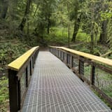 Chuckanut Falls, Washington - 640 Reviews, Map | AllTrails