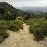 Observatory Trail Extended Loop, California - 1,664 Reviews, Map ...