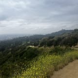 Observatory Trail Extended Loop, California - 1,657 Reviews, Map ...
