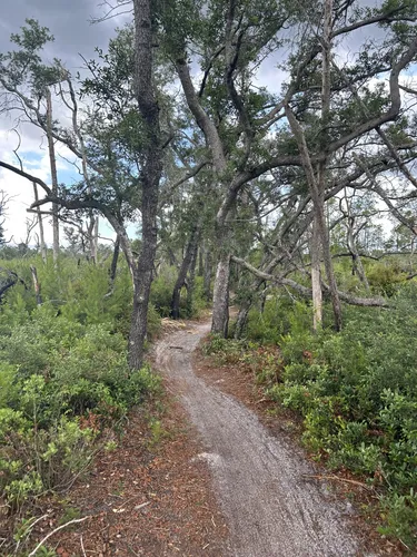 Best Backpacking Trails in Oviedo | AllTrails