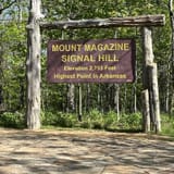 Signal Hill Trail, Arkansas - 932 Reviews, Map | AllTrails