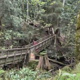 Colliery Dam Loop, British Columbia, Canada - 350 Reviews, Map | AllTrails