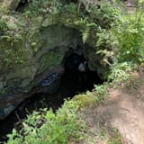 Dames Cave, Florida - 573 Reviews, Map | AllTrails