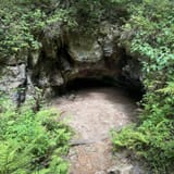 Dames Cave, Florida - 585 Reviews, Map | AllTrails