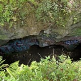 Dames Cave, Florida - 626 Reviews, Map | AllTrails
