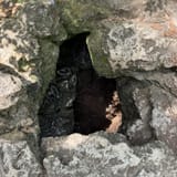 Dames Cave, Florida - 626 Reviews, Map | AllTrails