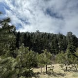 Catamount Falls via Thomas Trail, Colorado - 1,855 Reviews, Map | AllTrails