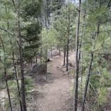 Catamount Falls via Thomas Trail, Colorado - 1,855 Reviews, Map | AllTrails