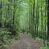 Long Branch Loop Trail, Georgia - 2,280 Reviews, Map | AllTrails