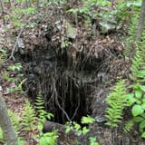 Neversink Loop Trail, Pennsylvania - 1,106 Reviews, Map | AllTrails