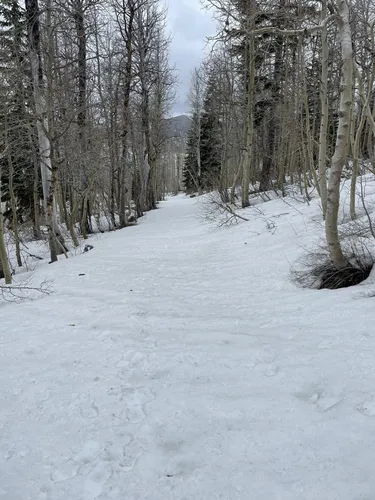 Best Bike Touring Trails in Humboldt-Toiyabe National Forest | AllTrails