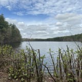 Gates Pond, Massachusetts - 1,209 Reviews, Map | AllTrails