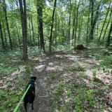 Low Gap Trail , Indiana - 1,445 Reviews, Map | AllTrails