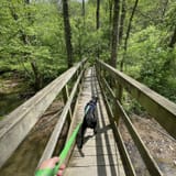 Low Gap Trail , Indiana - 1,281 Reviews, Map | AllTrails