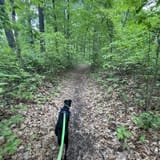 Low Gap Trail , Indiana - 1,281 Reviews, Map | AllTrails