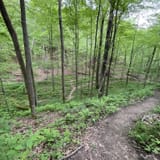 Low Gap Trail , Indiana - 1,281 Reviews, Map | AllTrails